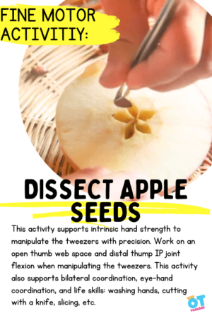 Apple Seeds Fine Motor Activity - The OT Toolbox