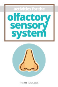 Olfactory Sensory Activities that Kids Love - The OT Toolbox