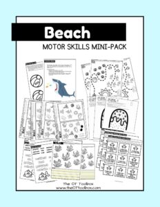 Beach Therapy Kit - The OT Toolbox