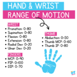 Wrist Range of Motion Exercises - The OT Toolbox