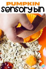 Pumpkin Sensory Bin - The OT Toolbox